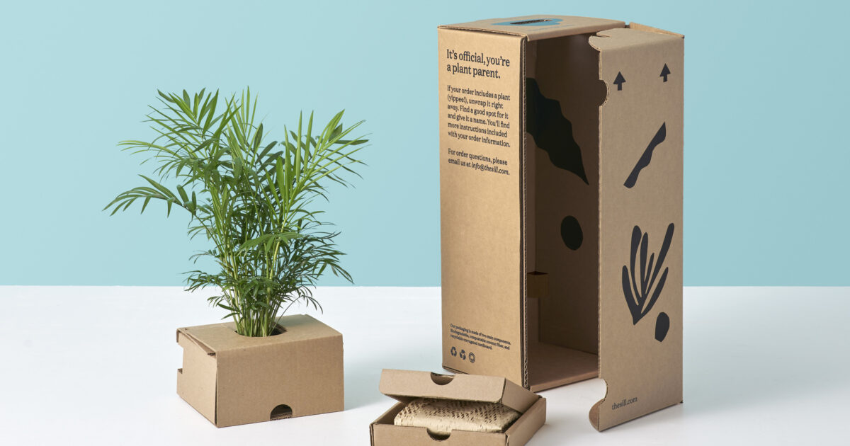 Sustainable Packaging for The Sill